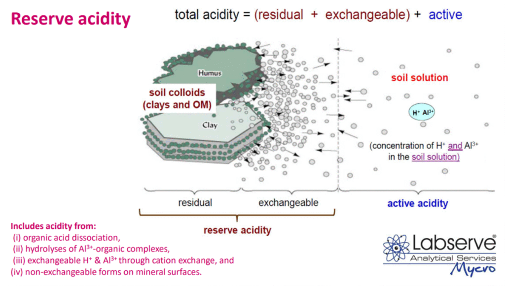 Liming: Not All Lime Sources Are Equal – Part 2 - OASIS AGRI